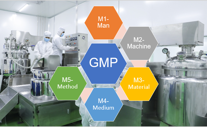5 đối tượng cơ bản trong thực hành áp dụng GMP - 5M trong GMP