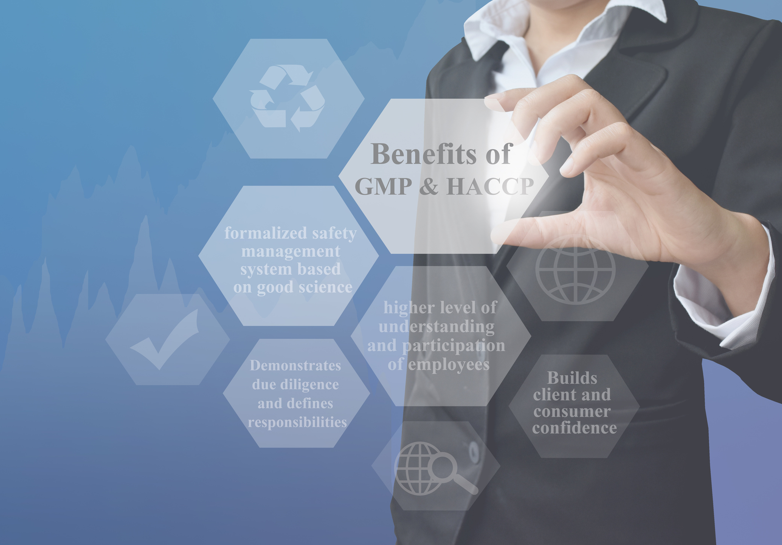 Why are Good Manufacturing Practices (GMPs) important in the ...