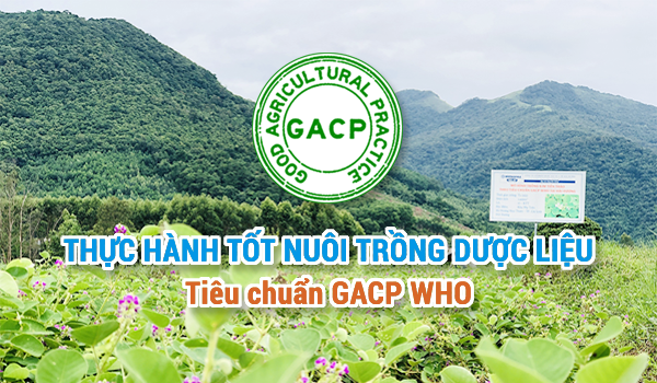 Hướng dẫn thực hành tốt nuôi trồng dược liệu đạt tiêu chuẩn GACP WHO